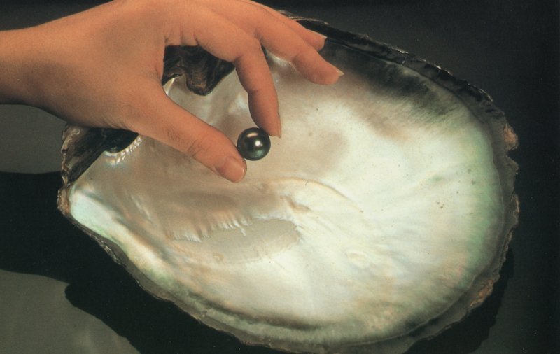Do you know the South Sea pearls ? - Genisi Pearls