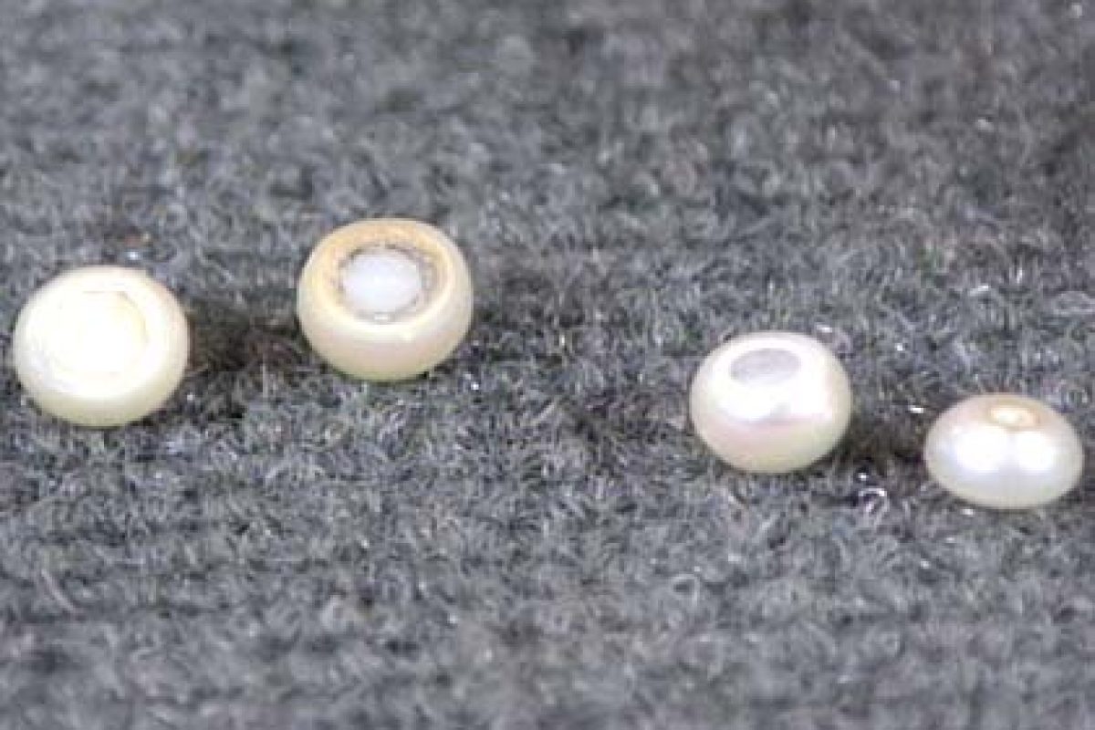 Natural pearls: birth and chimical composition - Genisi Pearls