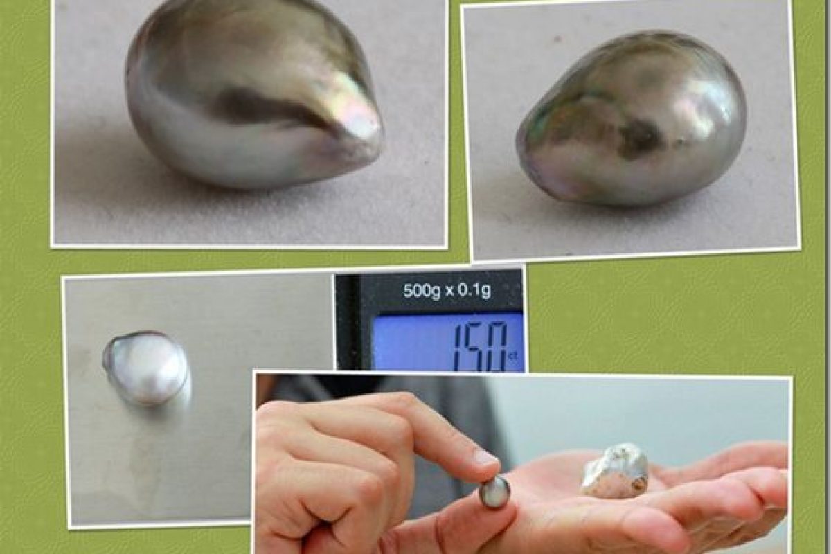 The Merman's teardrop pearl - Genisi Pearls