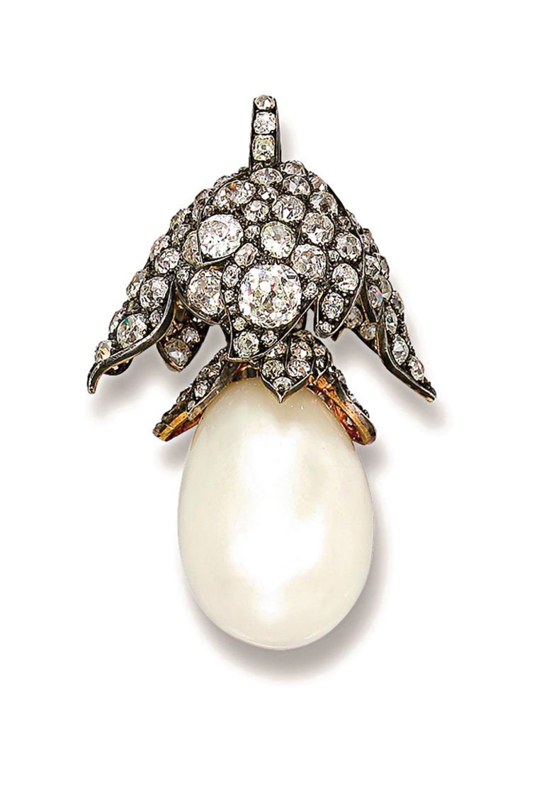 Perle naturali Abalone - Genisi Pearls