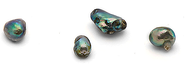 Perle naturali Abalone - Genisi Pearls