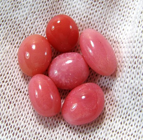 Perle Naturali Conch - Genisi Pearls