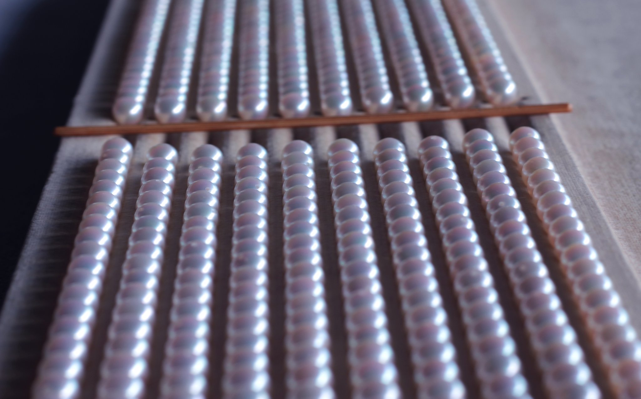 Perle cinesi: la storia e la diffusione | Genisi Pearls