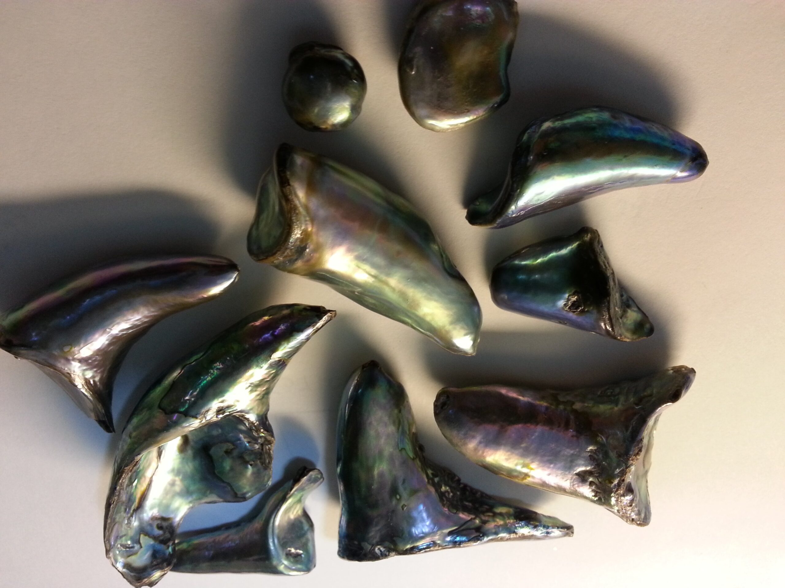 Perle naturali Abalone - Genisi Pearls