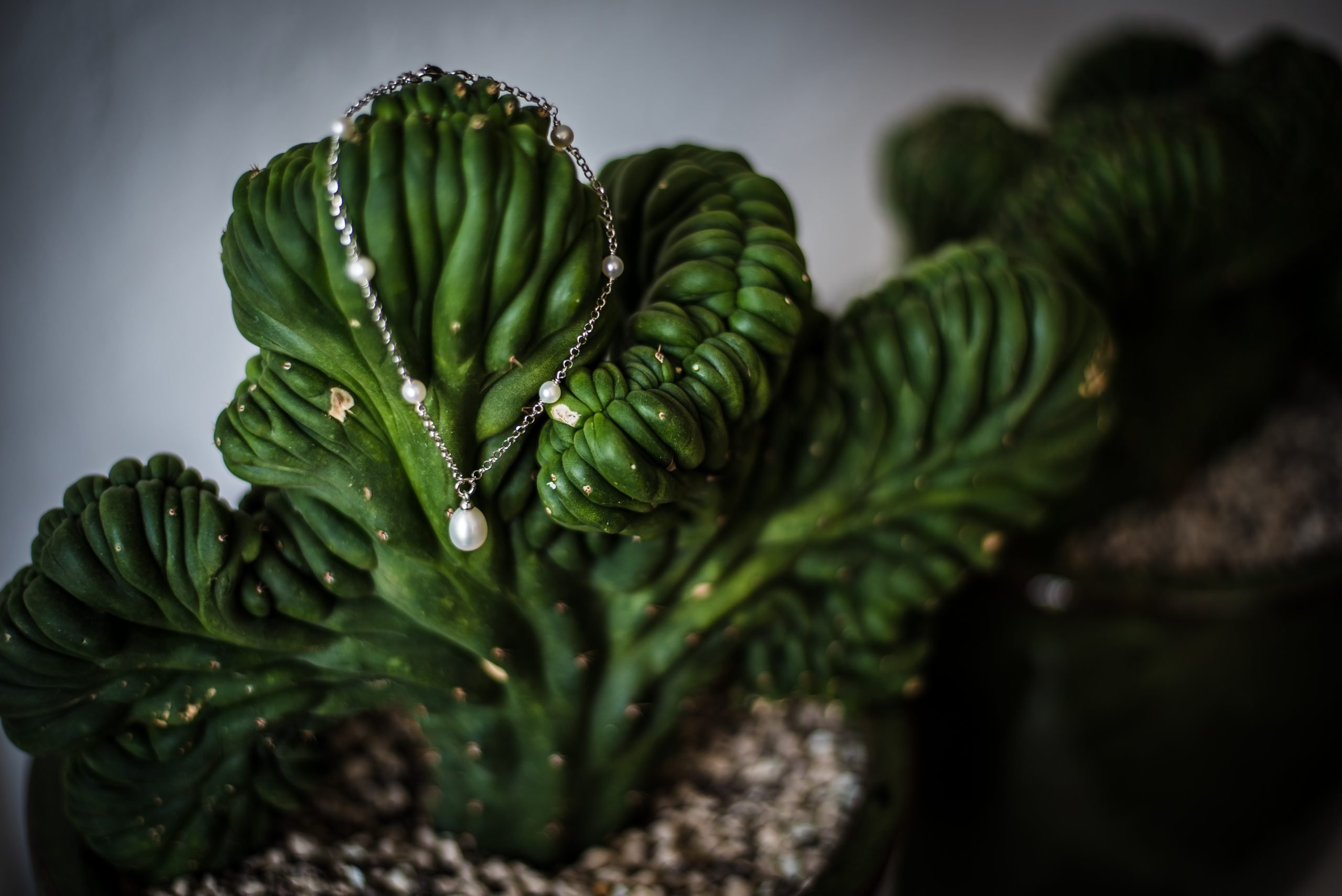 Perle: significato, proprietà e virtù. - Genisi Pearls