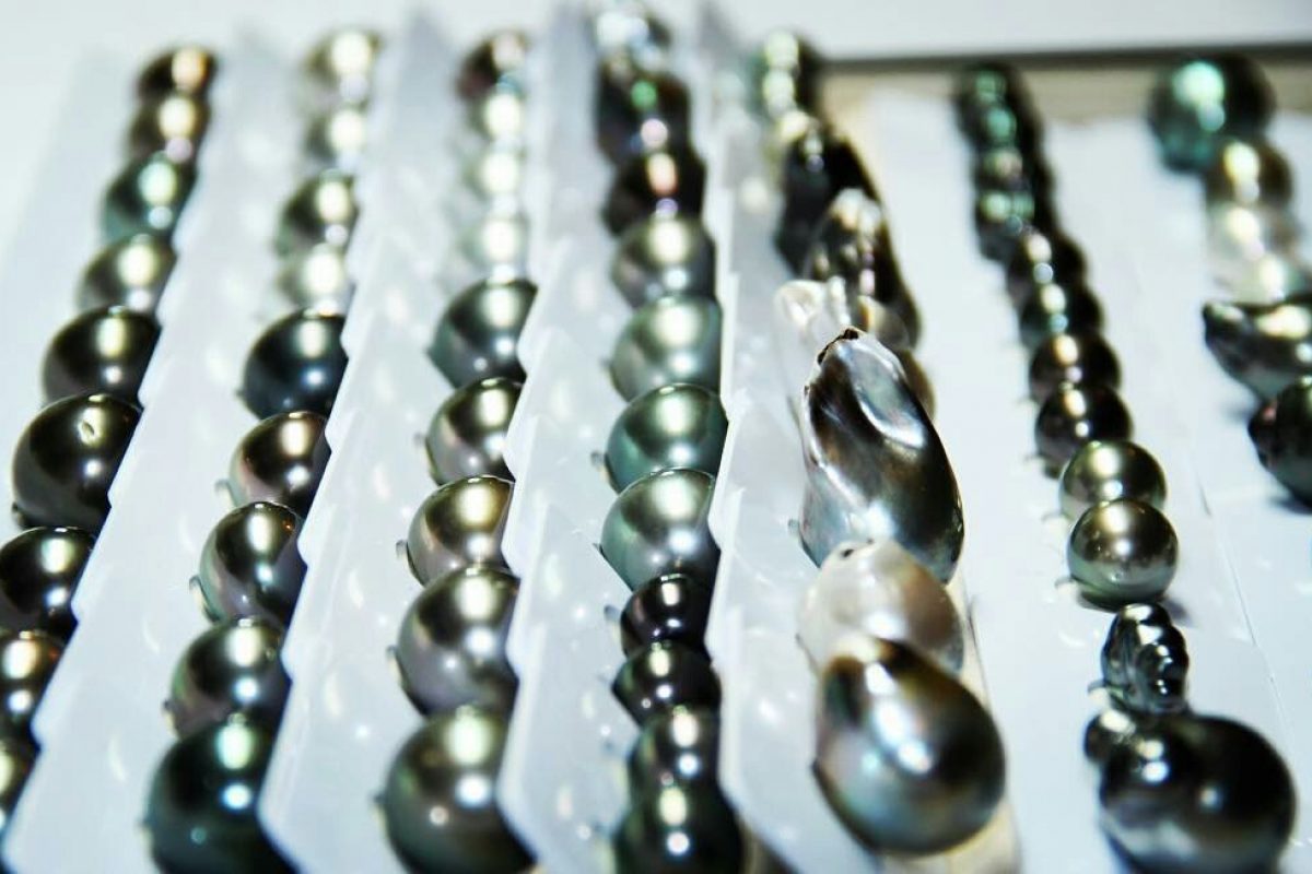 Perle nere di Tahiti: guida alle perle di Tahiti barocche dello shop Genisi
